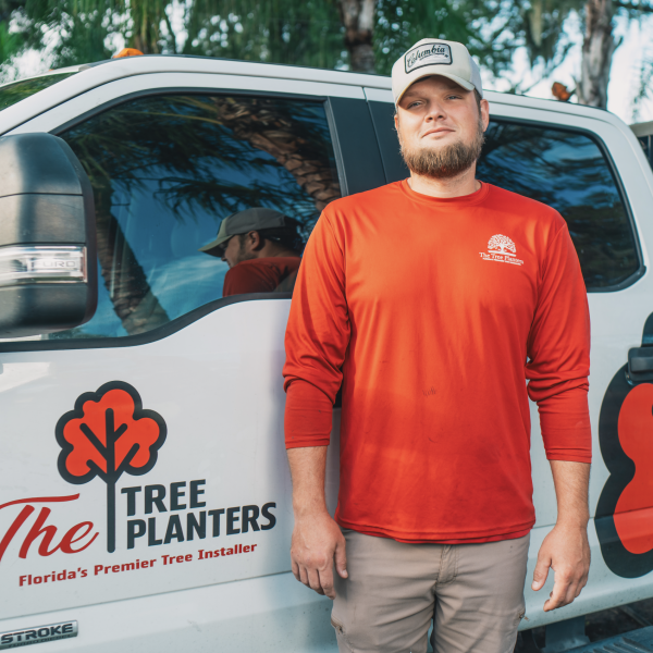 James Stover - THE TREE PLANTERS